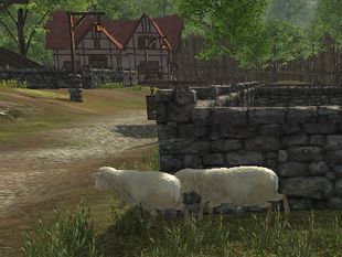 Sheep - Shroud of the Avatar Wiki - SotA